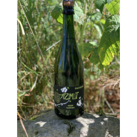 Den Flaskehalsen Peger på